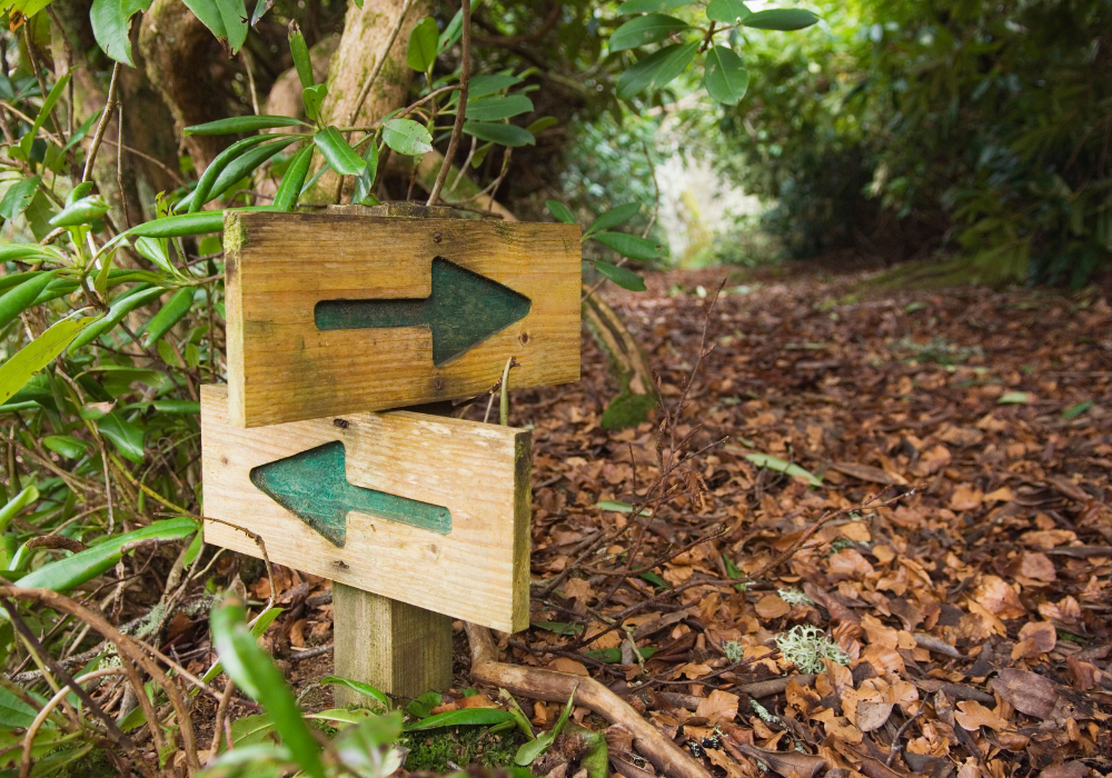 Developing net zero pathways through the National Quality Infrastructure